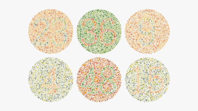 The Different Types Of Color Blindness | Yesglasses