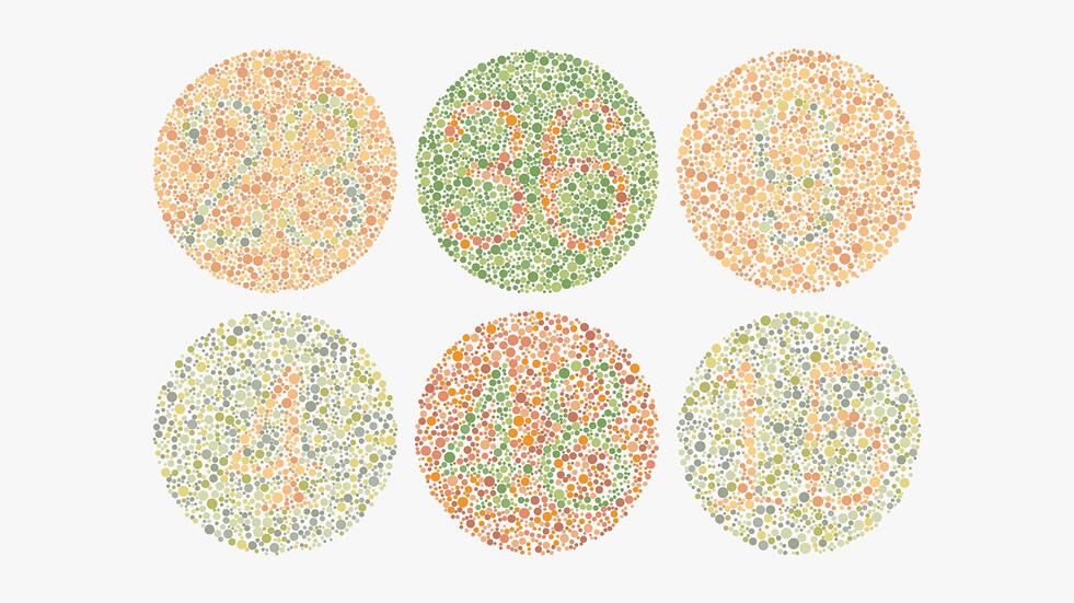 The Different Types Of Color Blindness | Yesglasses